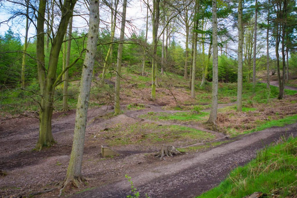 Mega Trail – Stile Cop Downhill Trails