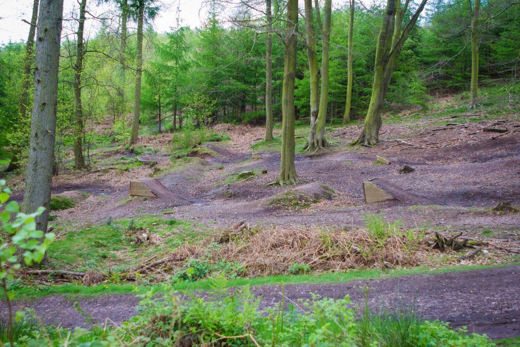 Mega Trail – Stile Cop Downhill Trails